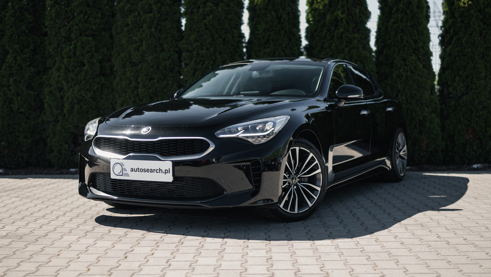 Samochody marki Kia dostępne w sprzedaży | oferta AutoSearch