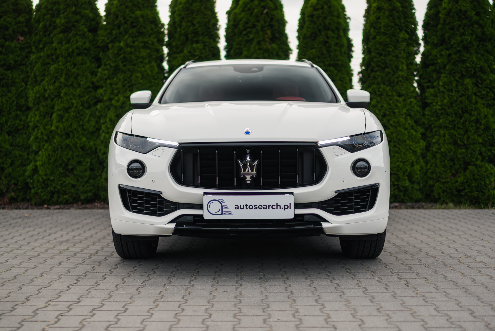 Samochody marki Maserati dostępne w sprzedaży | oferta AutoSearch