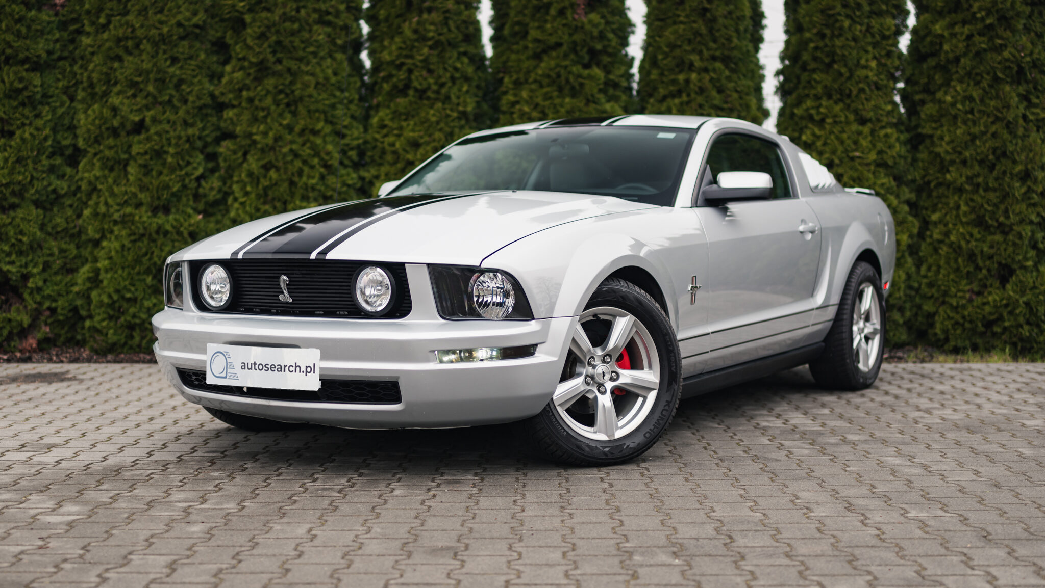 Samochody marki Ford dostępne w sprzedaży | oferta AutoSearch